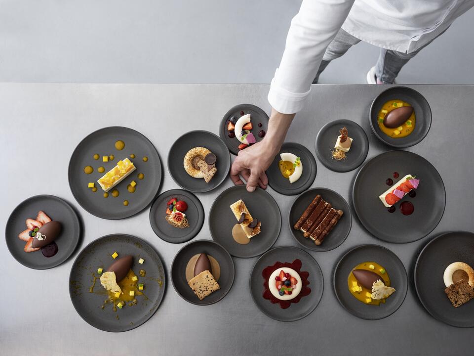 Debic Shapes, frozen dessert components | Debic