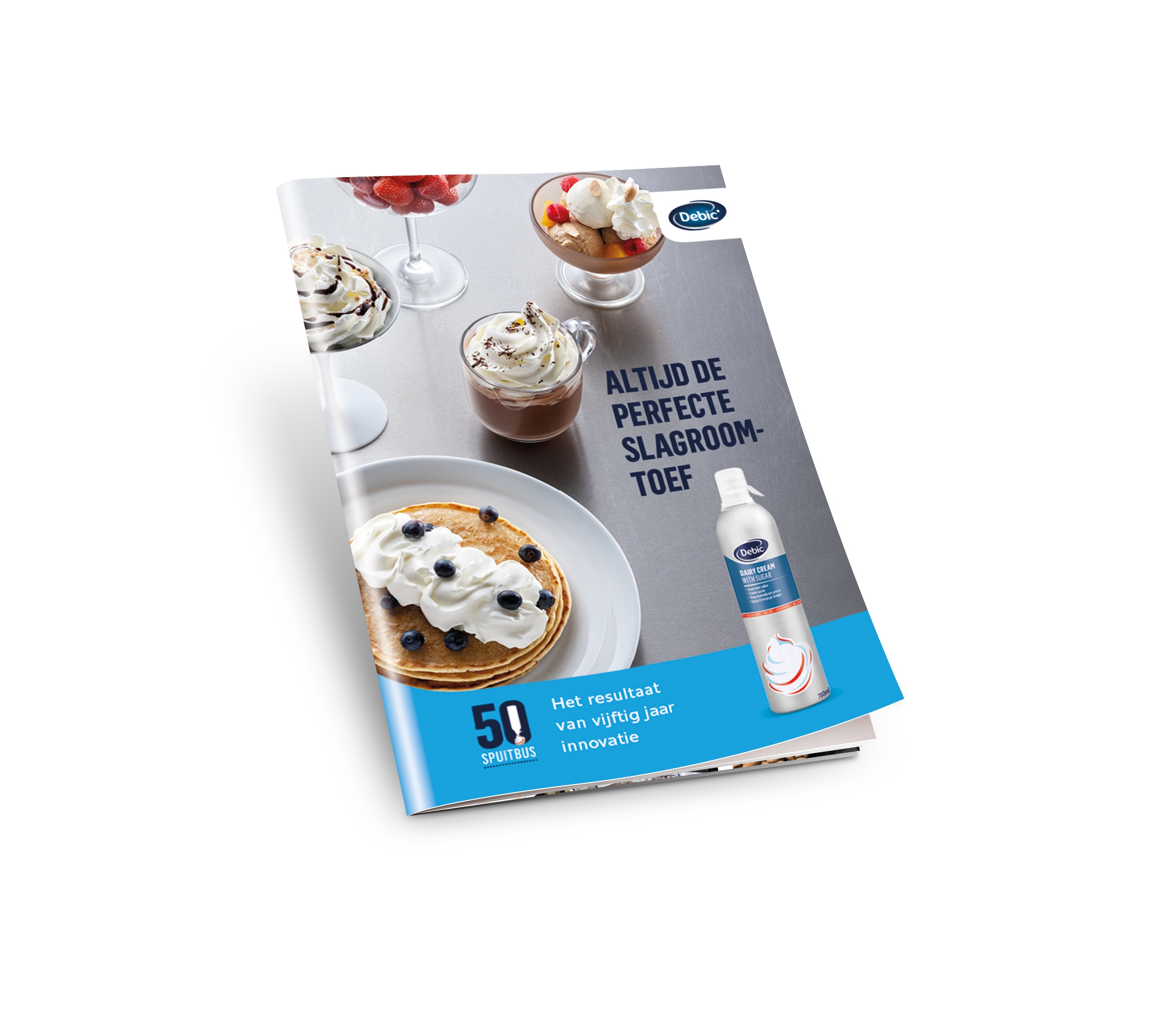 Debic Spraycan brochure Debic