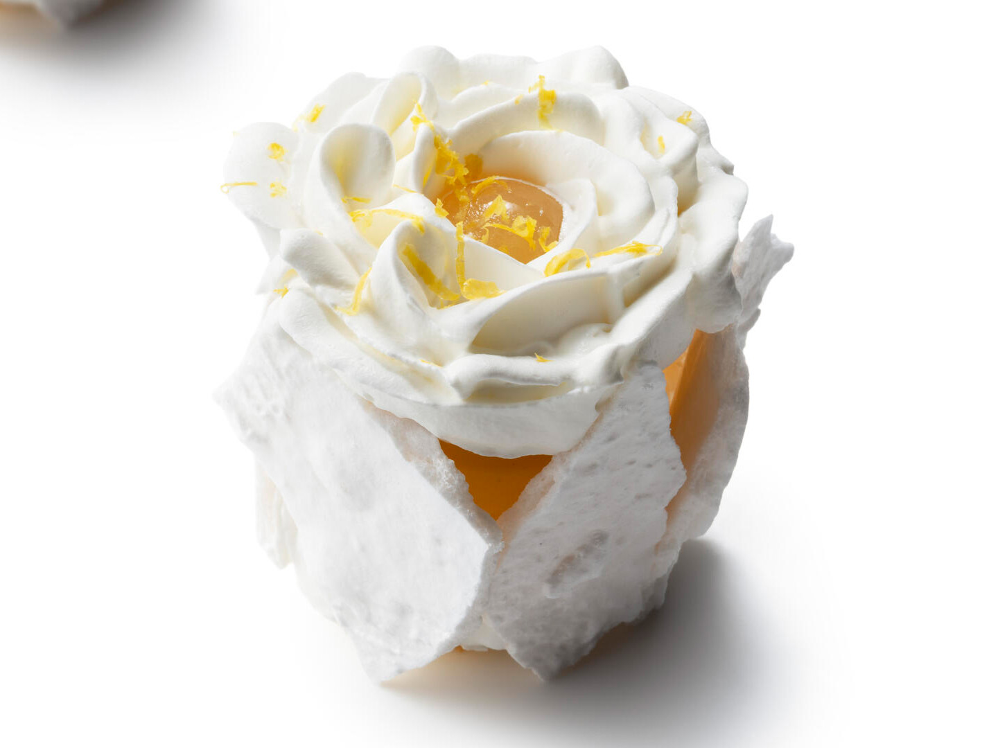 Search recipes | Debic